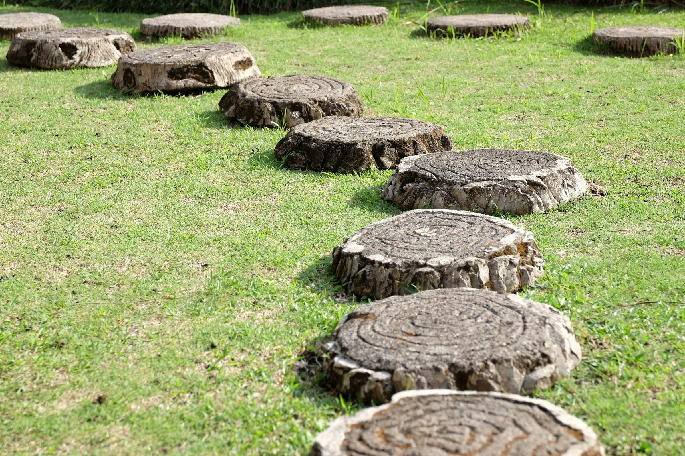Rethink Sustainability with 6 Practices for Procurement